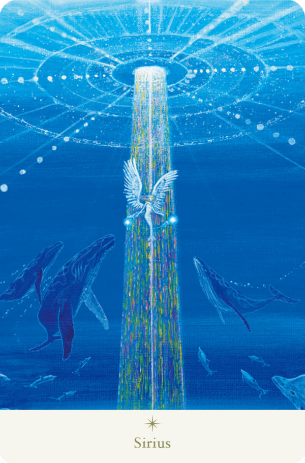 Sirius / シリウス | Light Language Card